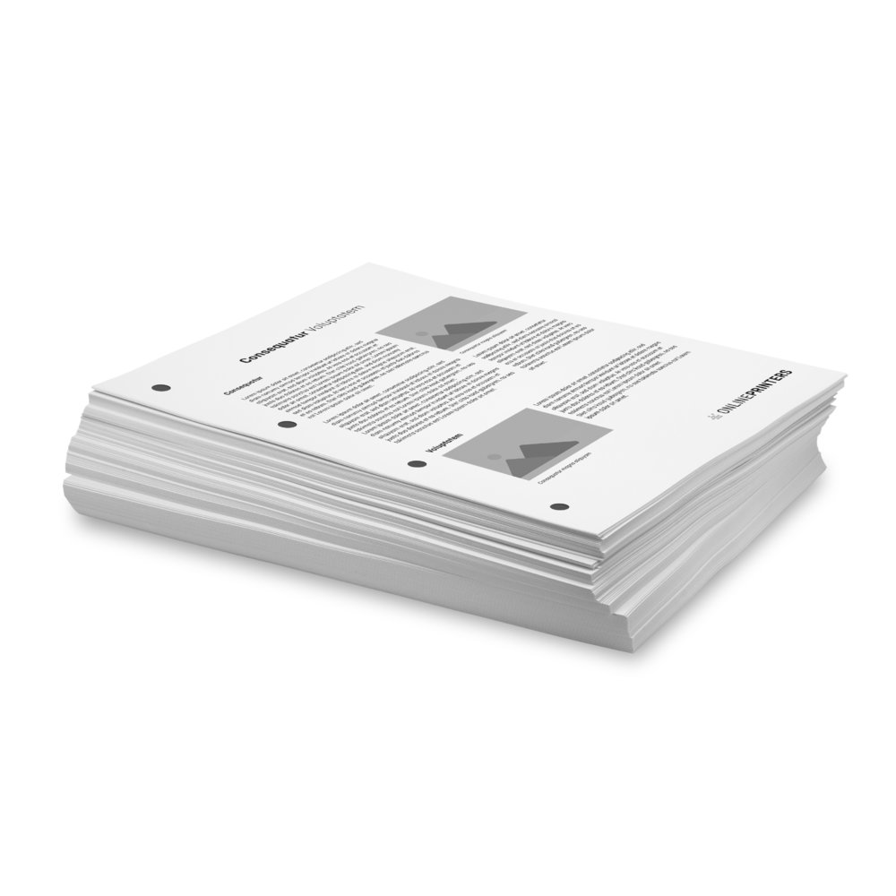 Publikacje wymiennokartkowe, A4, 21 x 29,7 cm, format pionowy, druk ...